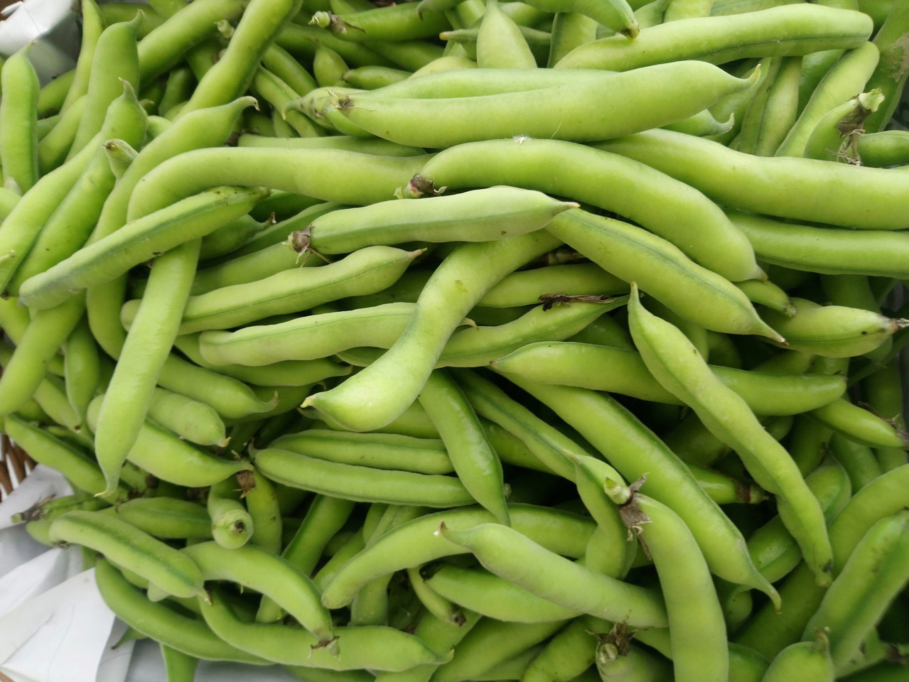 RECEITAS COM VAGENS DE FAVAS I - ESPARREGADO - CALDO VERDE