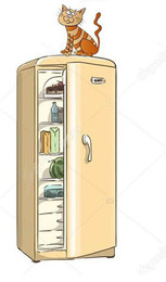 O gato Riscas gosta de subir pro frigorífico - Clube de Gatos do Sapo